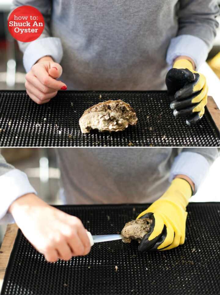 How to Shuck an Oyster