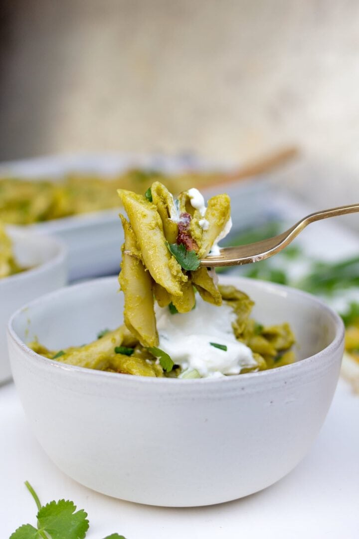 Chicken Chile Pasilla Pasta Casserole • Freutcake