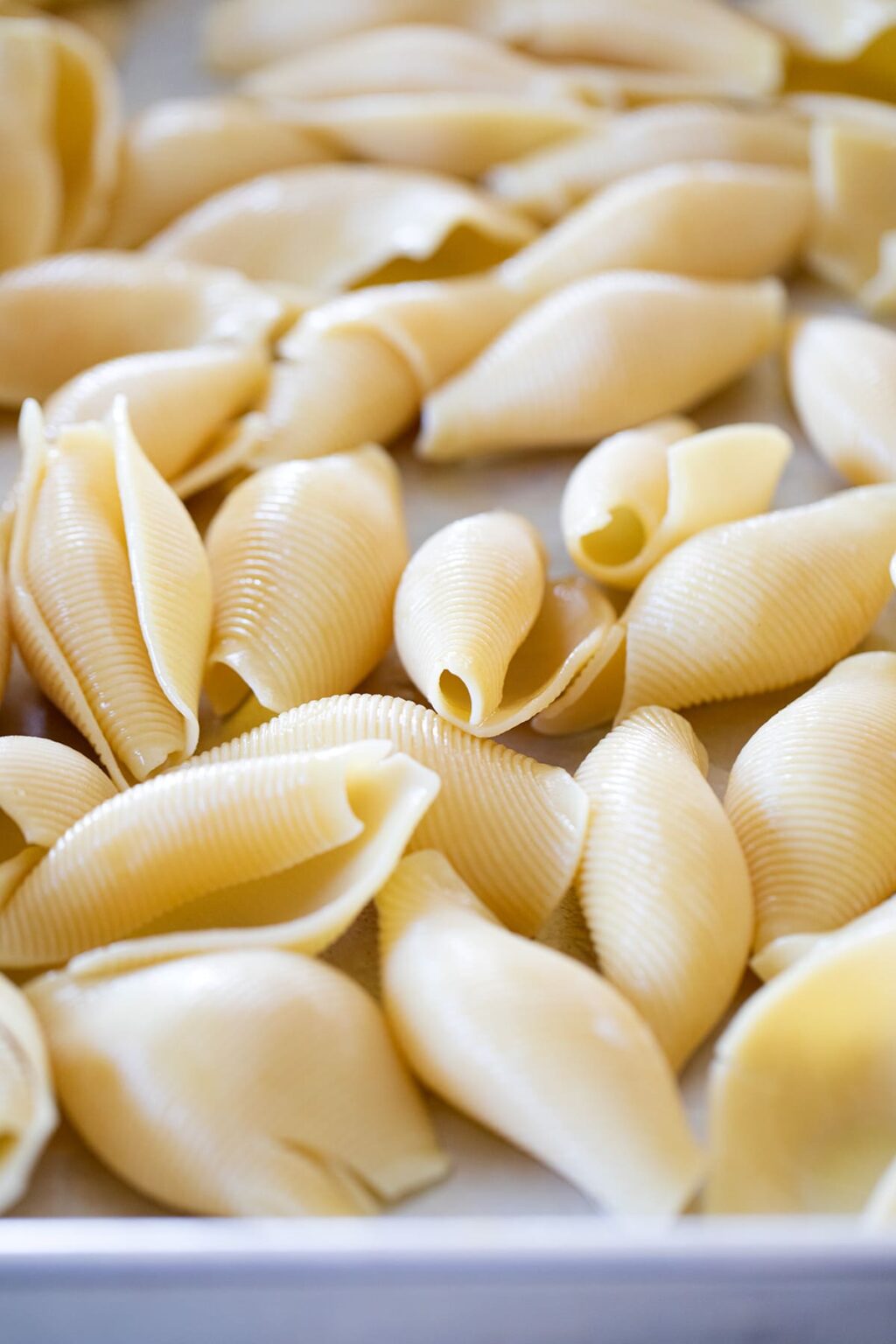 Creamy Pumpkin Ricotta Stuffed Shells • Freutcake