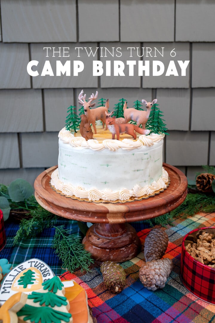Camping Birthday Party • Freutcake